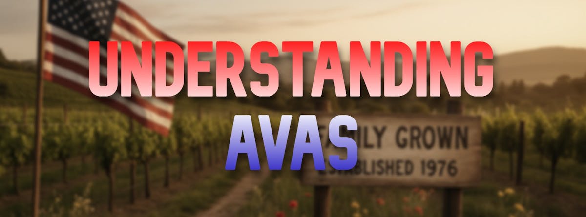 Understanding AVAs: Charting the American Wine Landscape - Empire Wine Blog