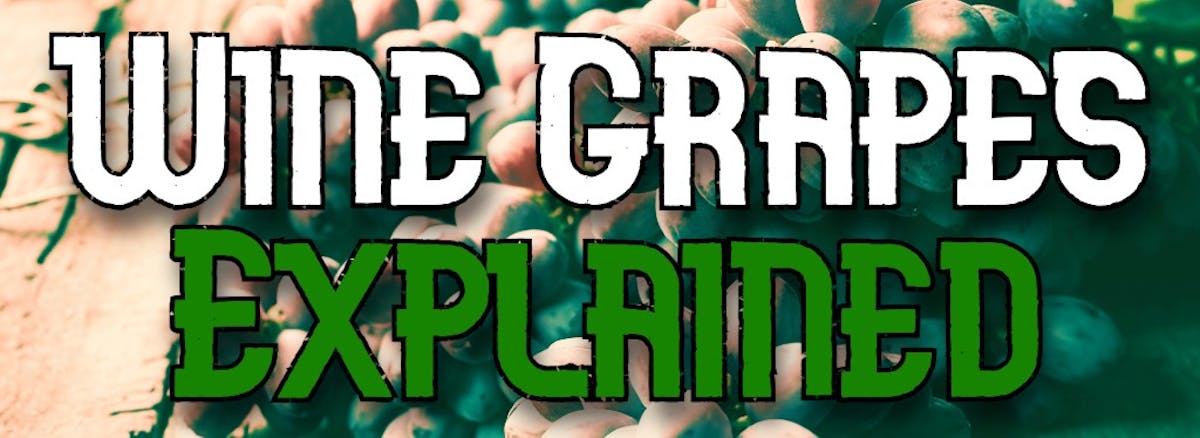 Wine Grapes Explained: Species, Hybrids, Crosses, Clones, and Mutations ...