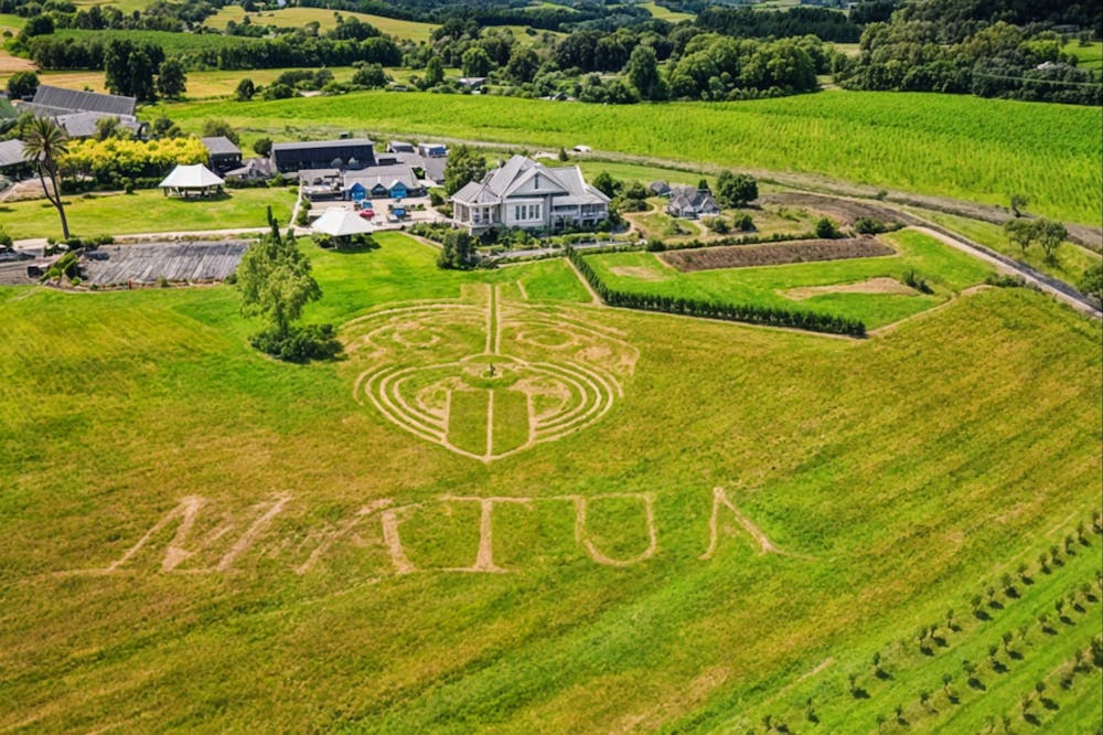 Matua Valley Winery Rose 2021 :: Rosé