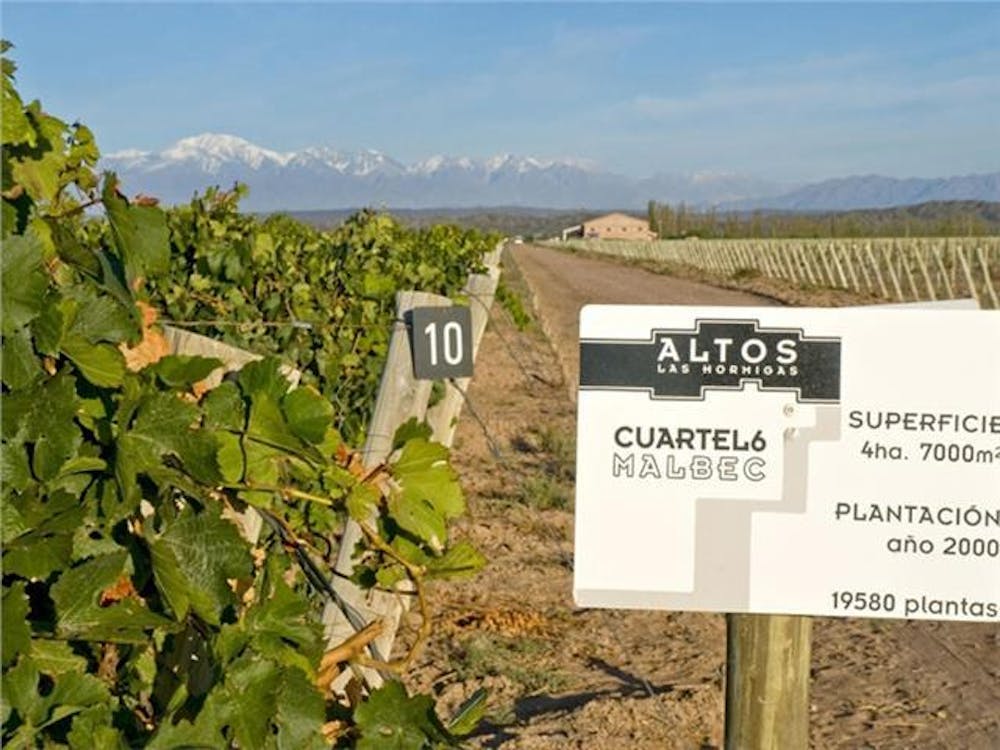 Altos 'Colonia Las Liebres' Bonarda 2023 :: Other Red Wines