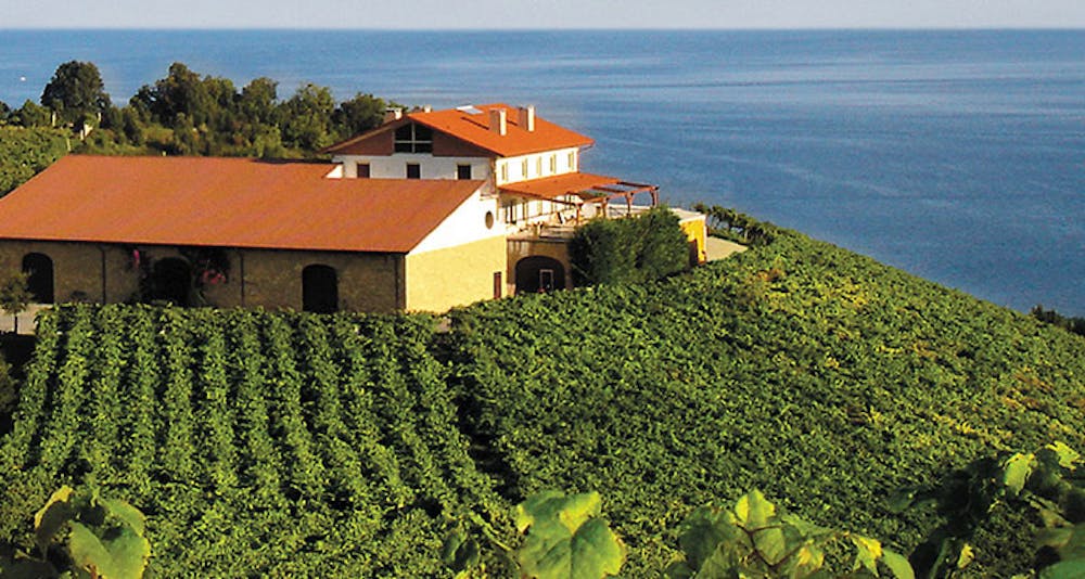 Txomin Etxaniz Getariako Txakolina 2024 :: Spanish White