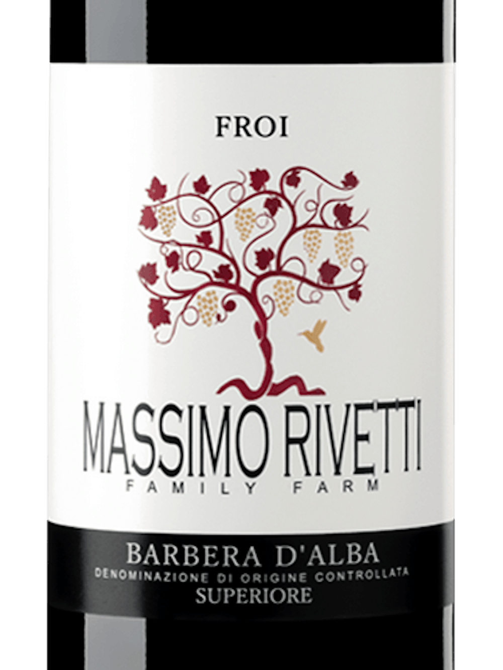 Rivetti Massimo Barbera d'Alba DOC 2019 :: Italian Red