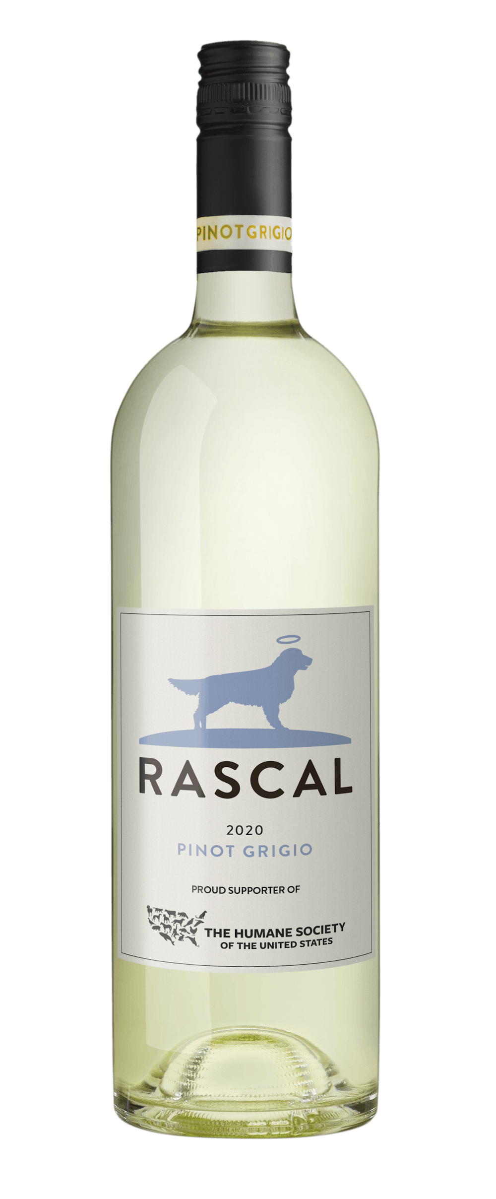 Rascal Pinot Grigio 2020 :: Italian White