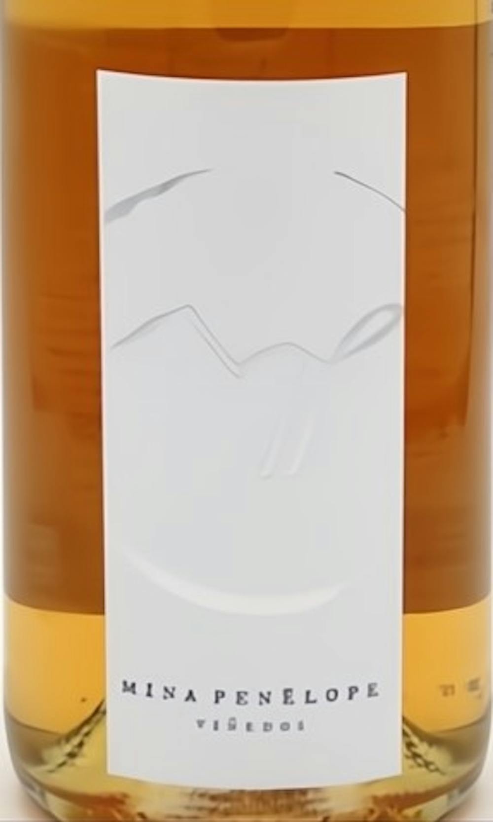 Mina Penelope Minas Amber 2023 :: Sauvignon Blanc