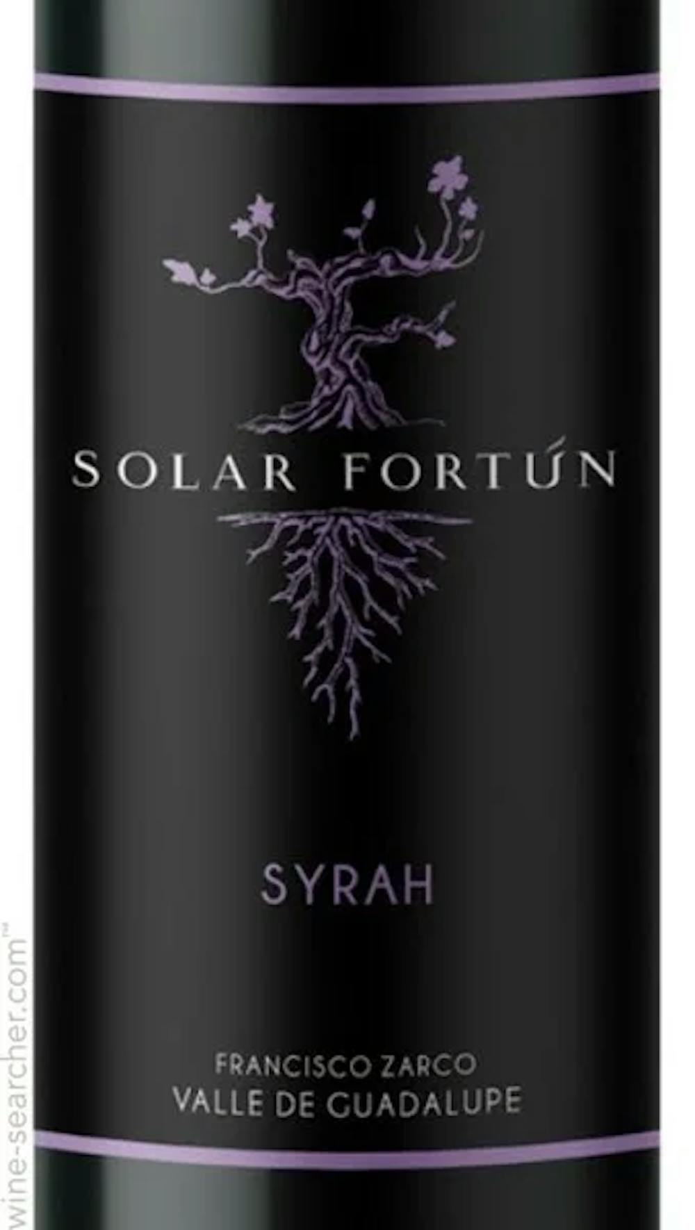 Vinicola Solar Fortun Syrah 2022 :: Shiraz / Syrah