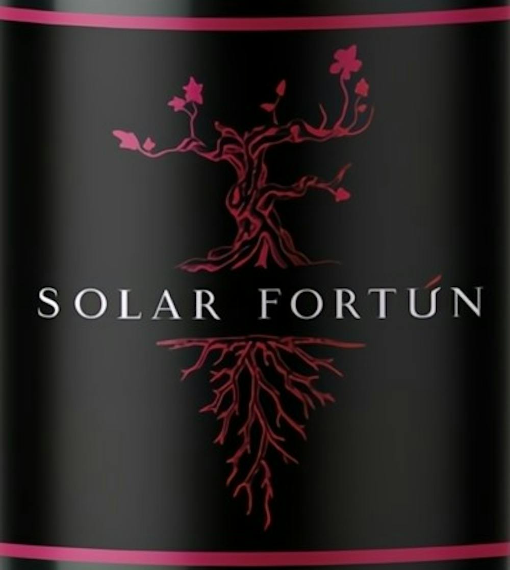 Vinicola Solar Fortun O Positivo 2022 :: Other Red Wines