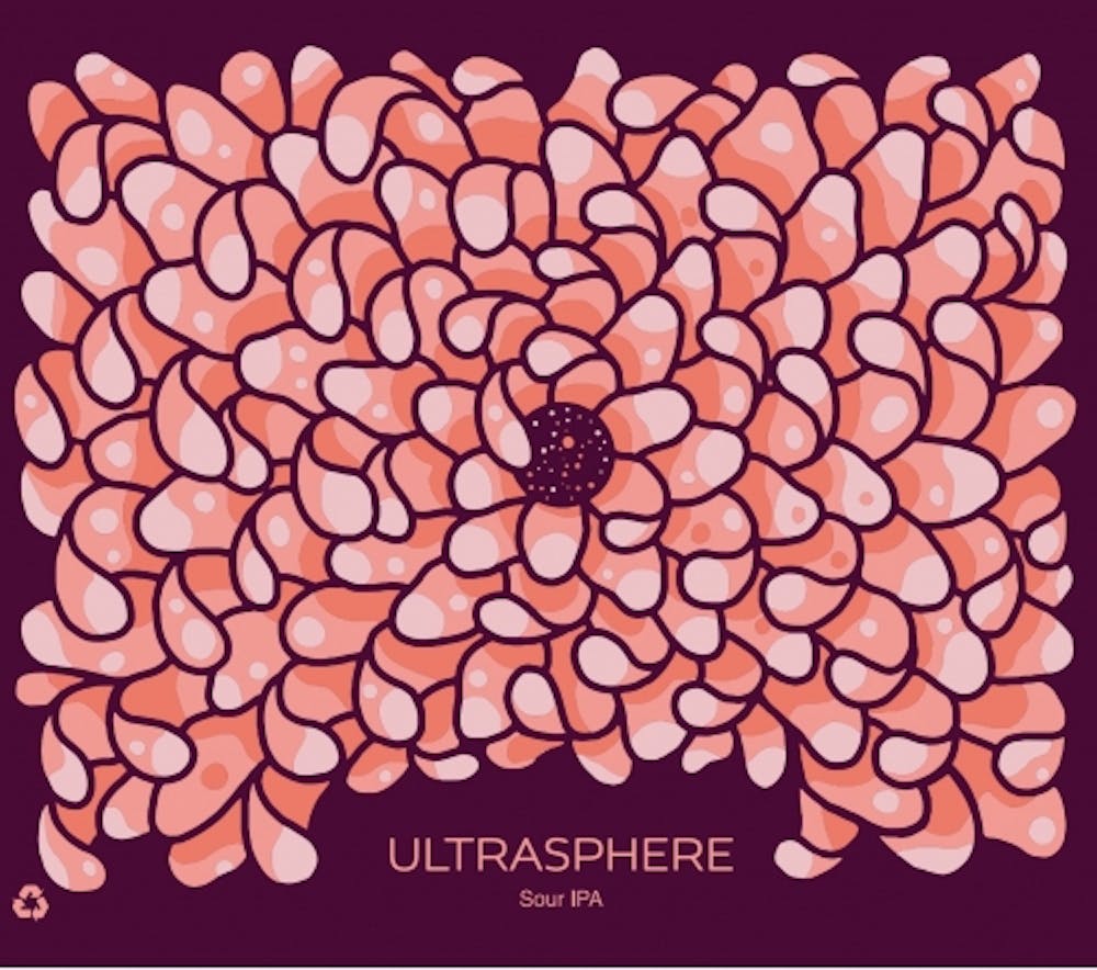 Hudson Valley Brewery Ultrasphere Sour IPA 16oz Can :: Sour