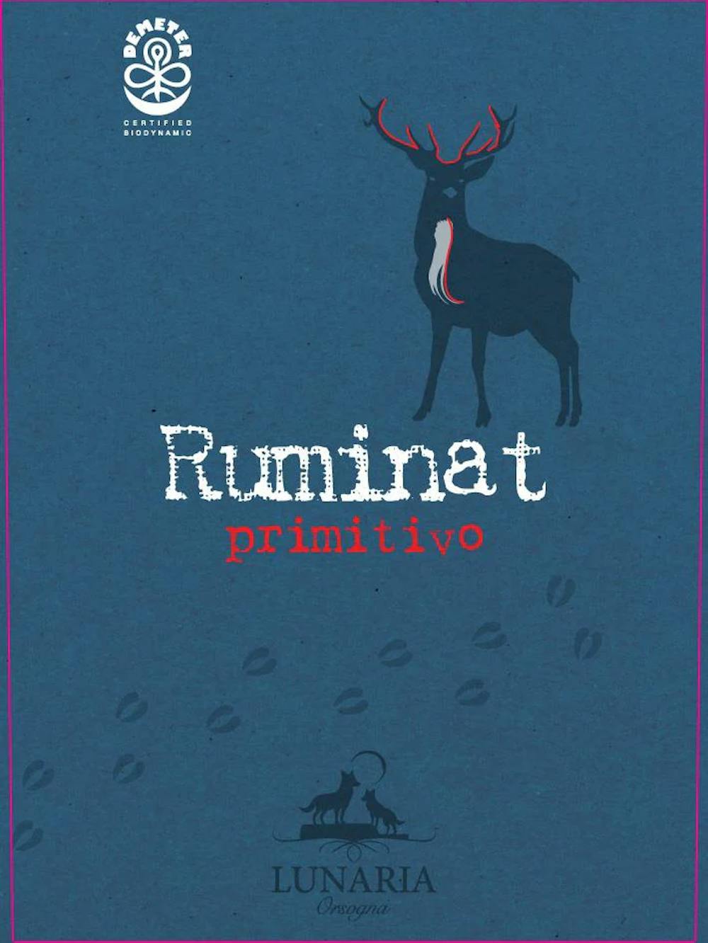 Lunaria Primitivo 'Ruminat' 2024 :: Italian Red